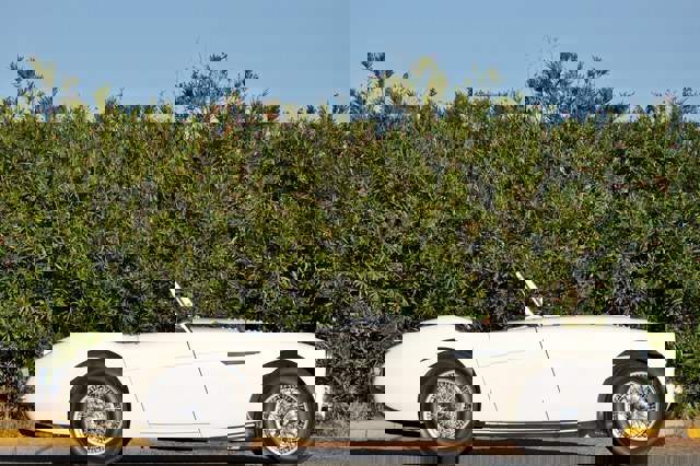 Austin-Healey 100S and 100M (1954 – 1956) Review | Honest John